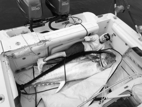 Our Team | Alpha Pension Group, Inc.